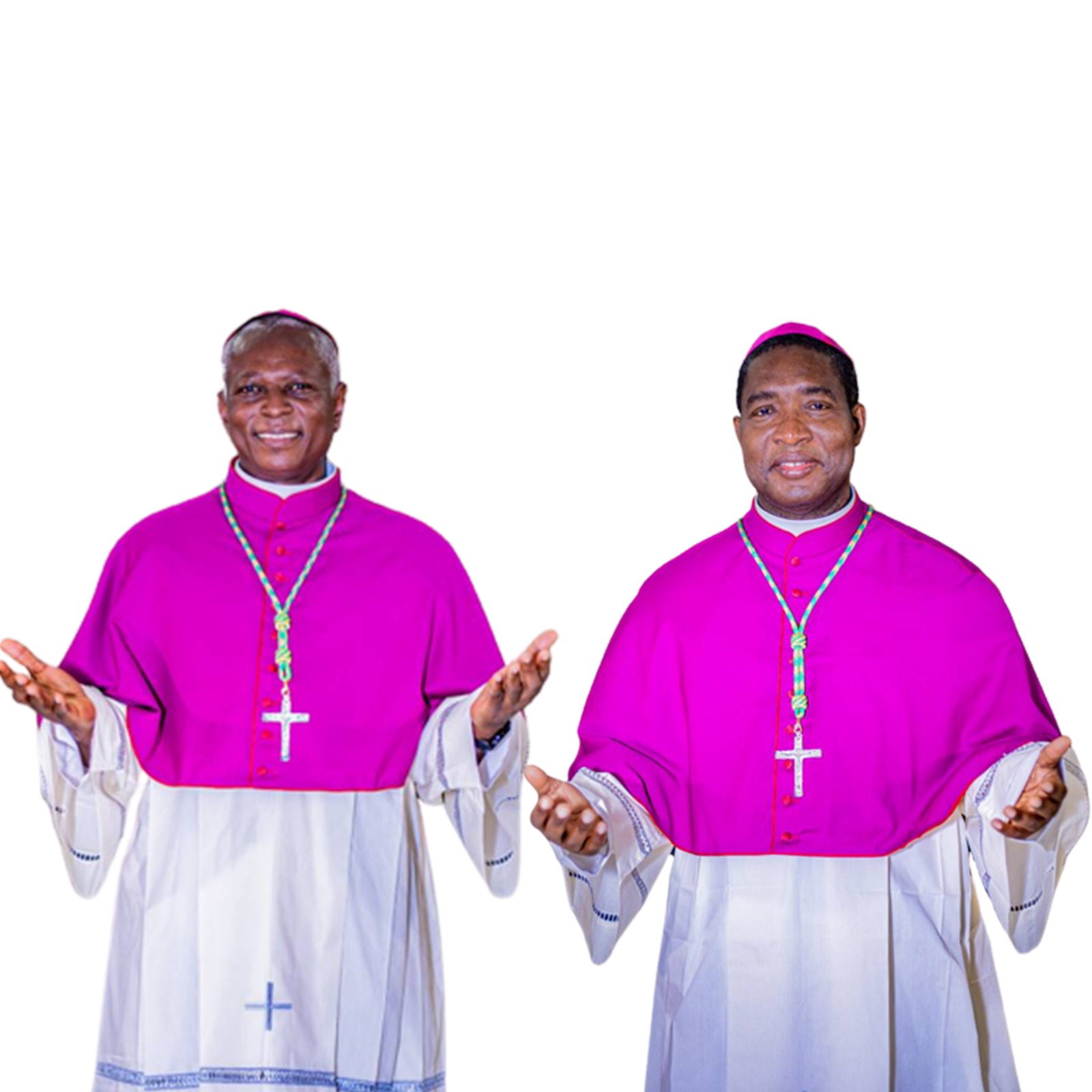 God Has Chosen You as True Witnesses – Nuncio to Newly Ordained Accra ...